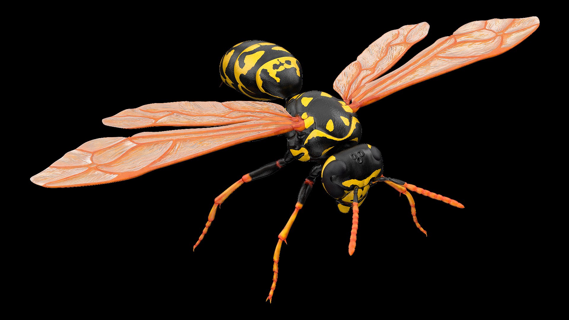 Paper Wasp 3D Model - TurboSquid 1629202