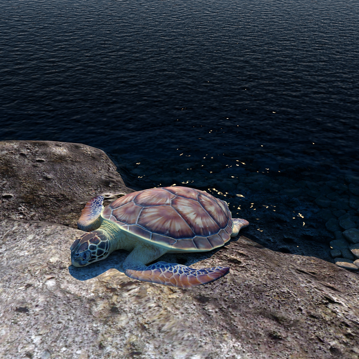 3d model of turtle chelonia mydas