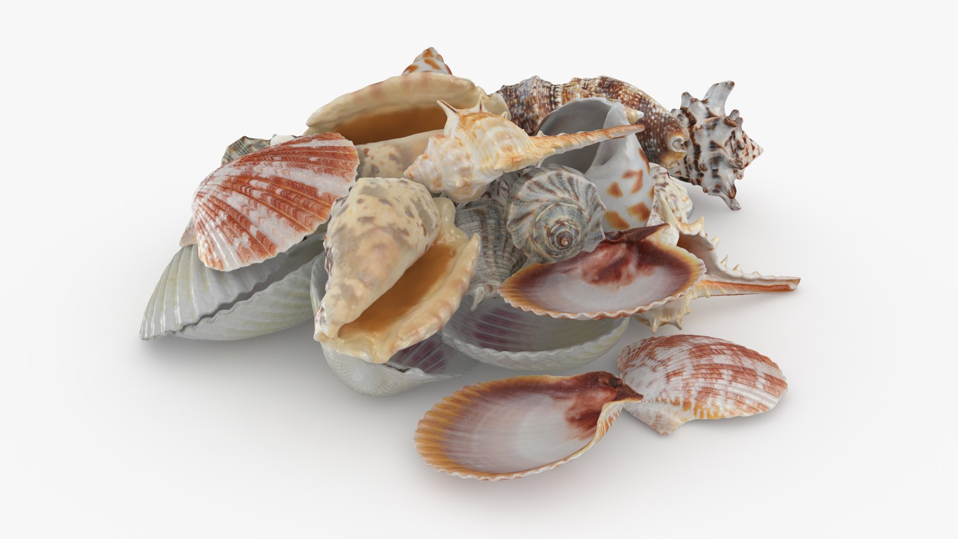 3D Seashell Pile V1 Model - TurboSquid 2258601