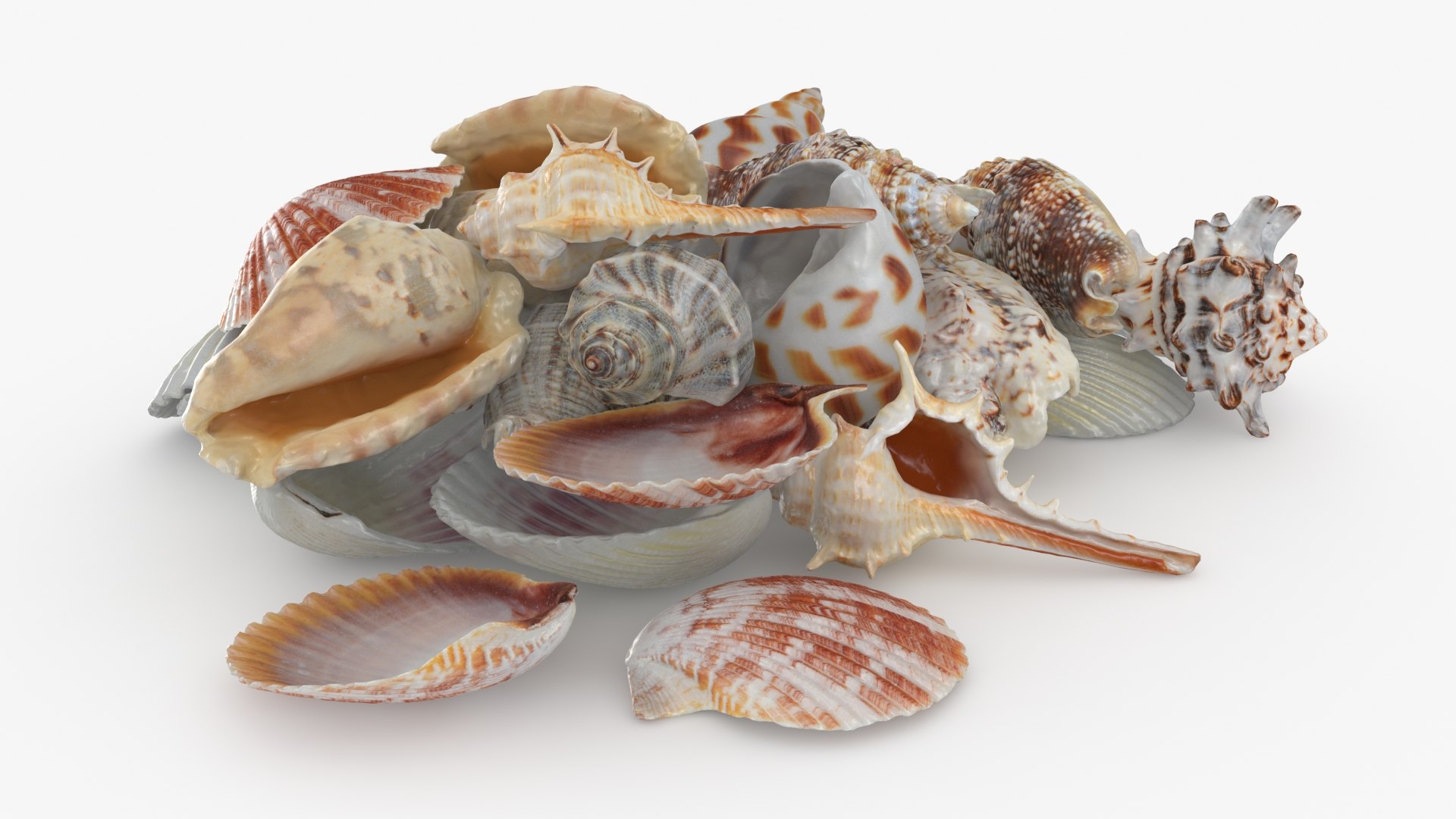 3D Seashell Pile V1 Model - TurboSquid 2258601