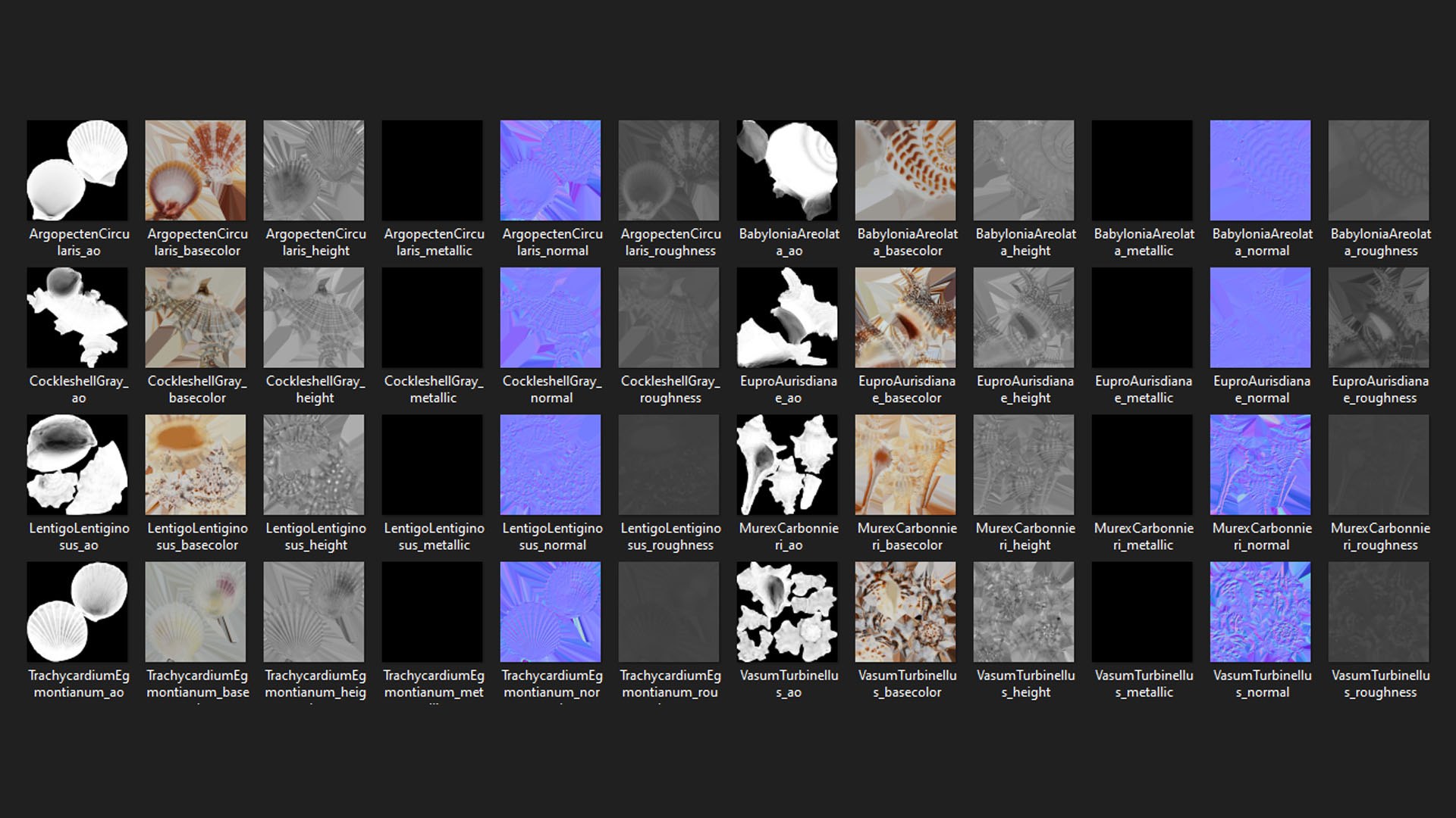 3D Seashell Pile V1 Model - TurboSquid 2258601