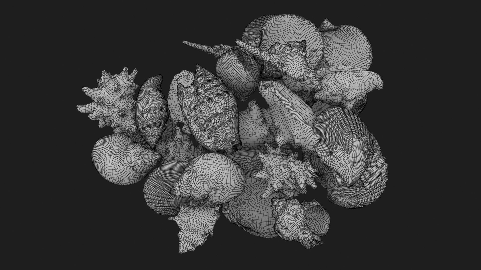 3D Seashell Pile V1 Model - TurboSquid 2258601