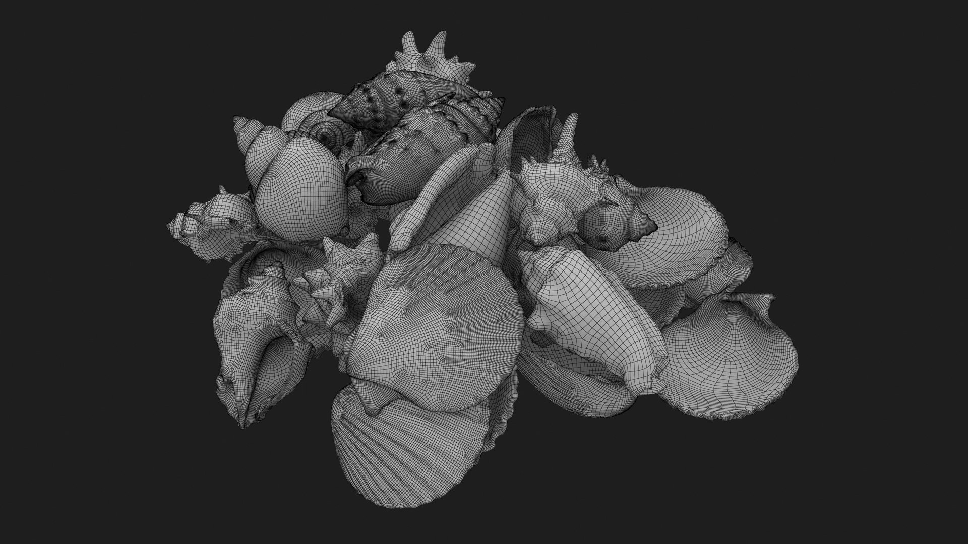 3D Seashell Pile V1 Model - TurboSquid 2258601