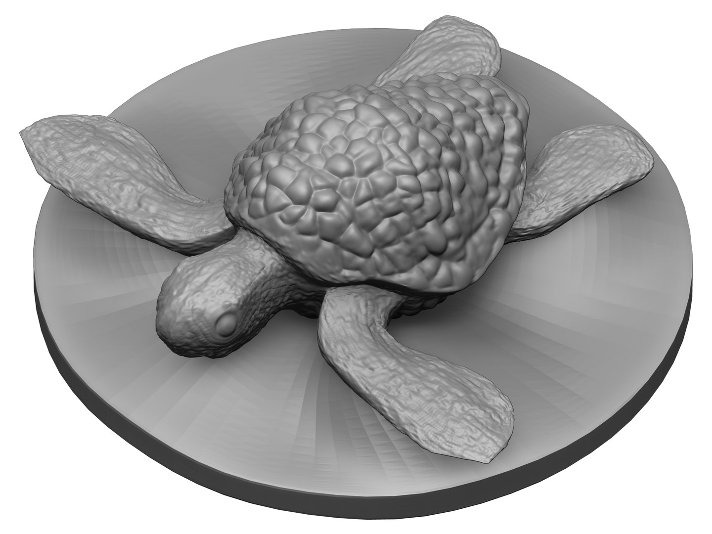 Realistic Sea Turtle 3D model - TurboSquid 1874600