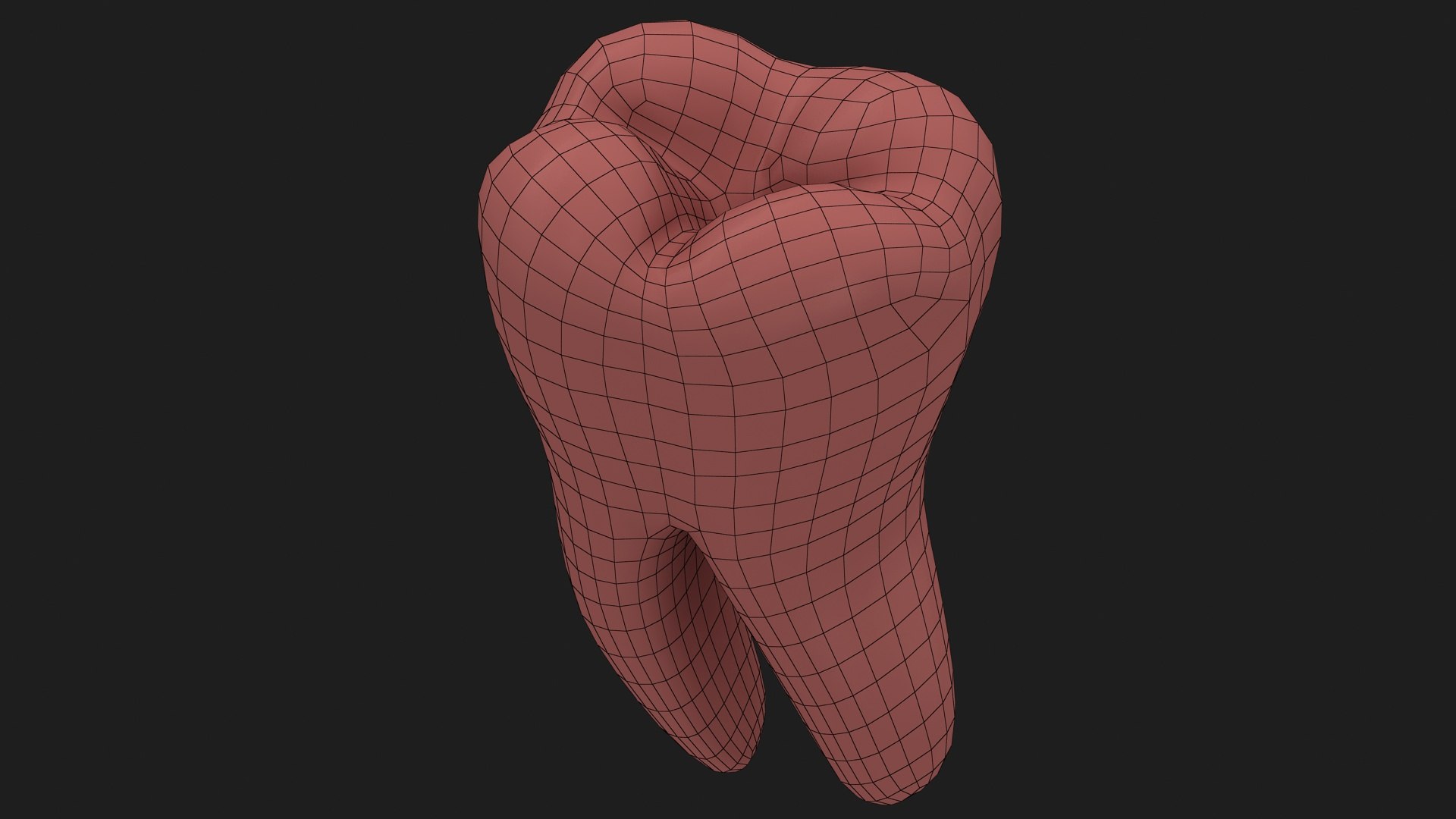 Realistic lower second molar 3D model - TurboSquid 1627785