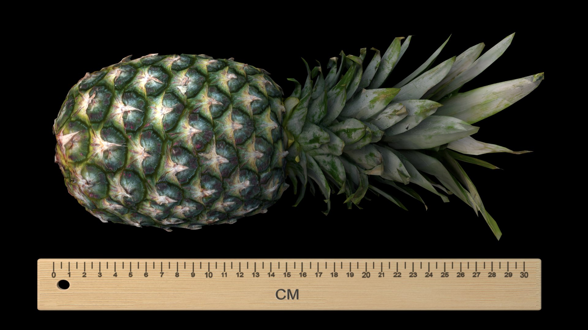 Realistic Pineapple 3D Model - TurboSquid 1926480