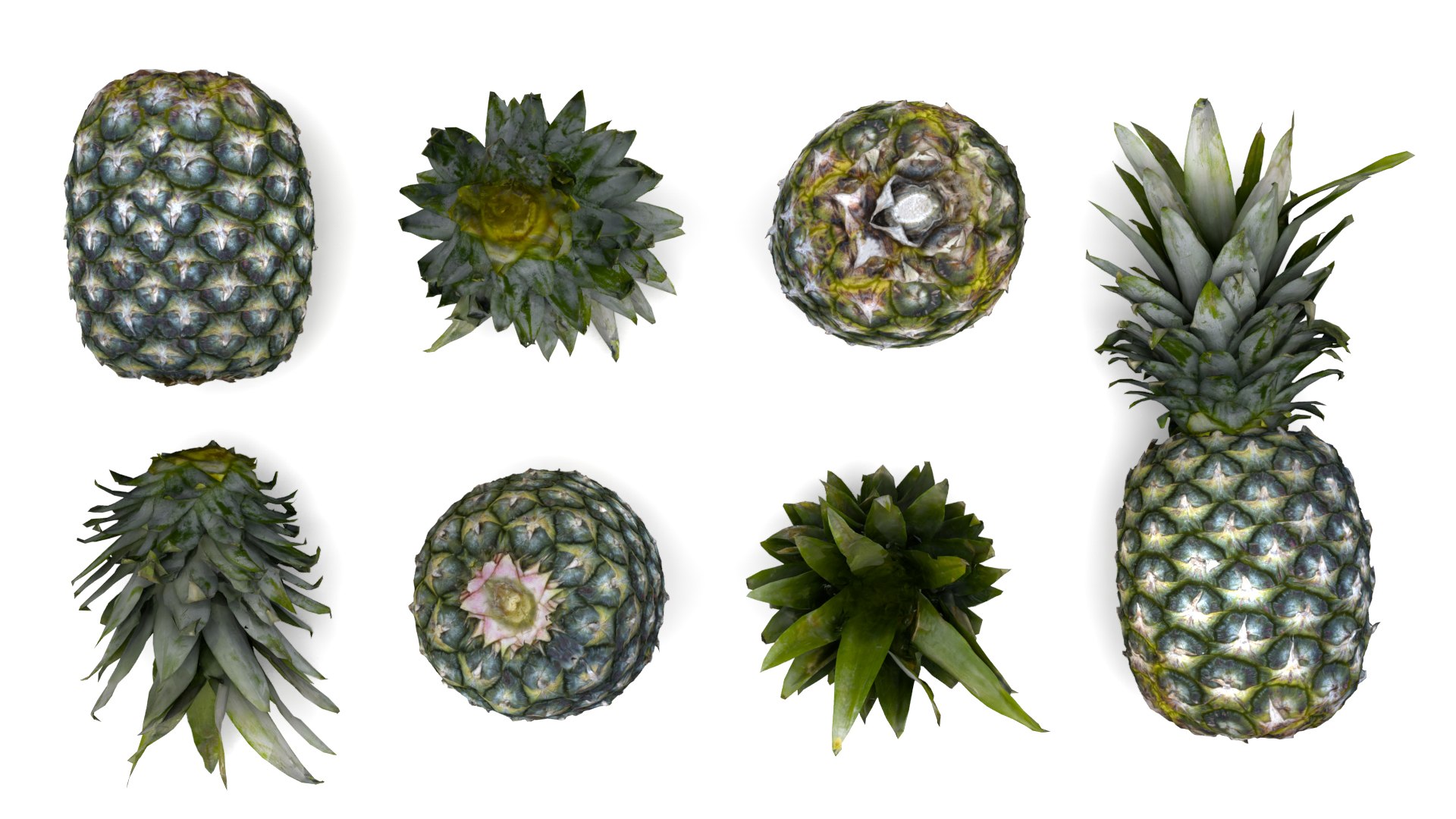 Realistic Pineapple 3D Model - TurboSquid 1926480