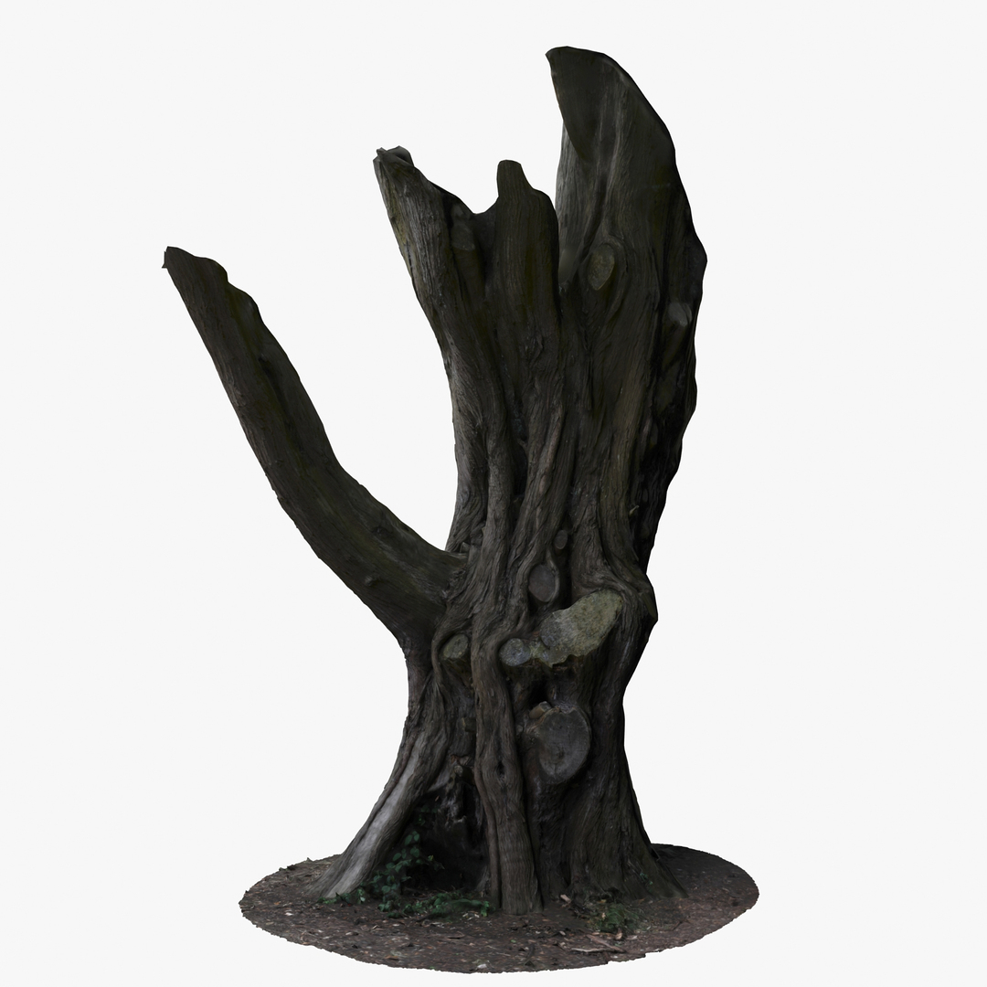 Tree Trunk Dxf