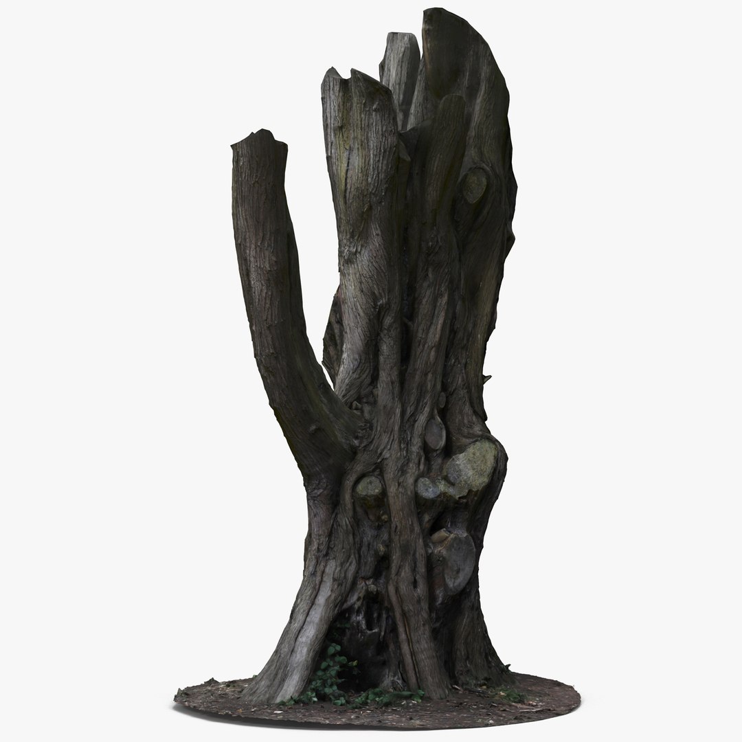 Tree Trunk Dxf