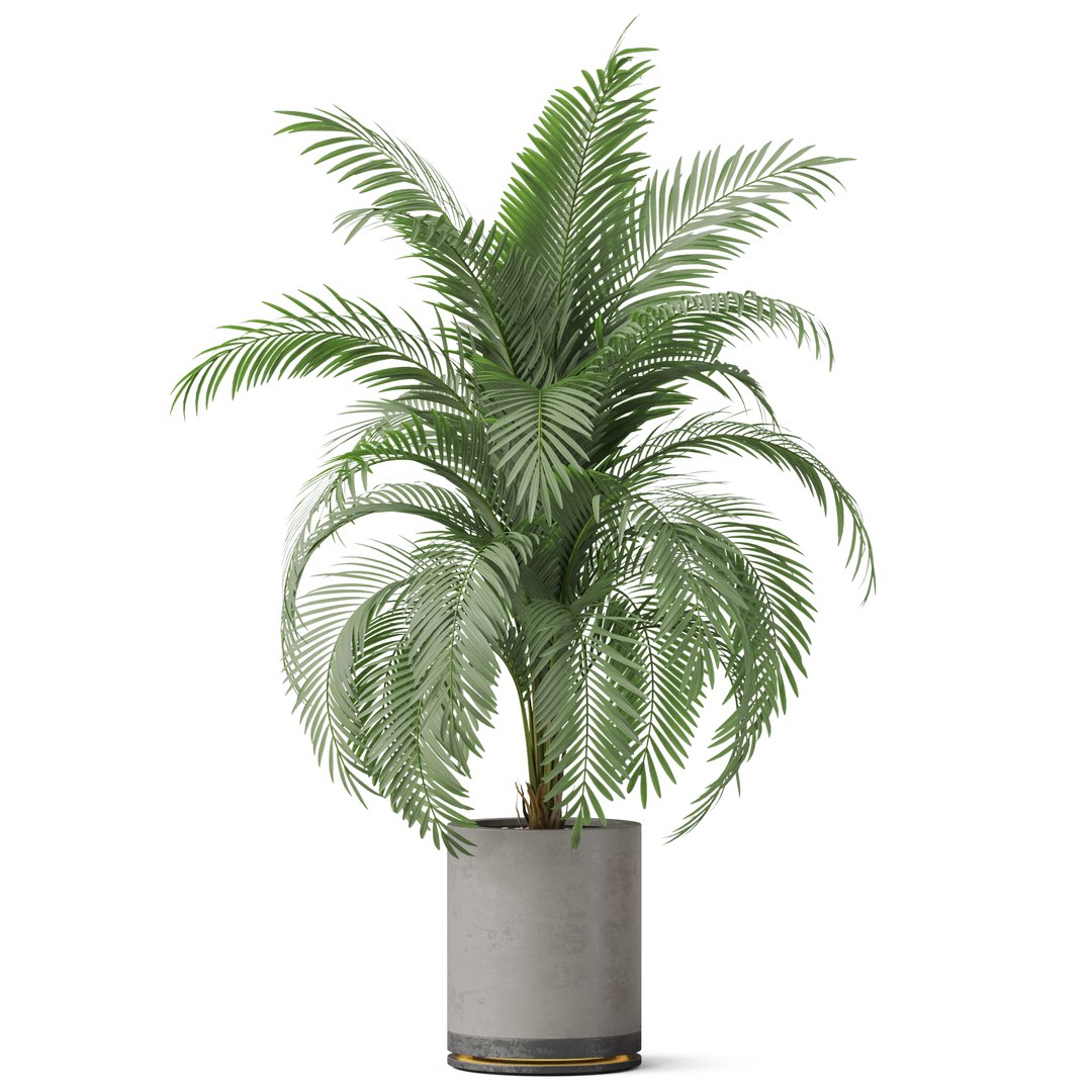 3D Model Plants Collection 870 - TurboSquid 2003379