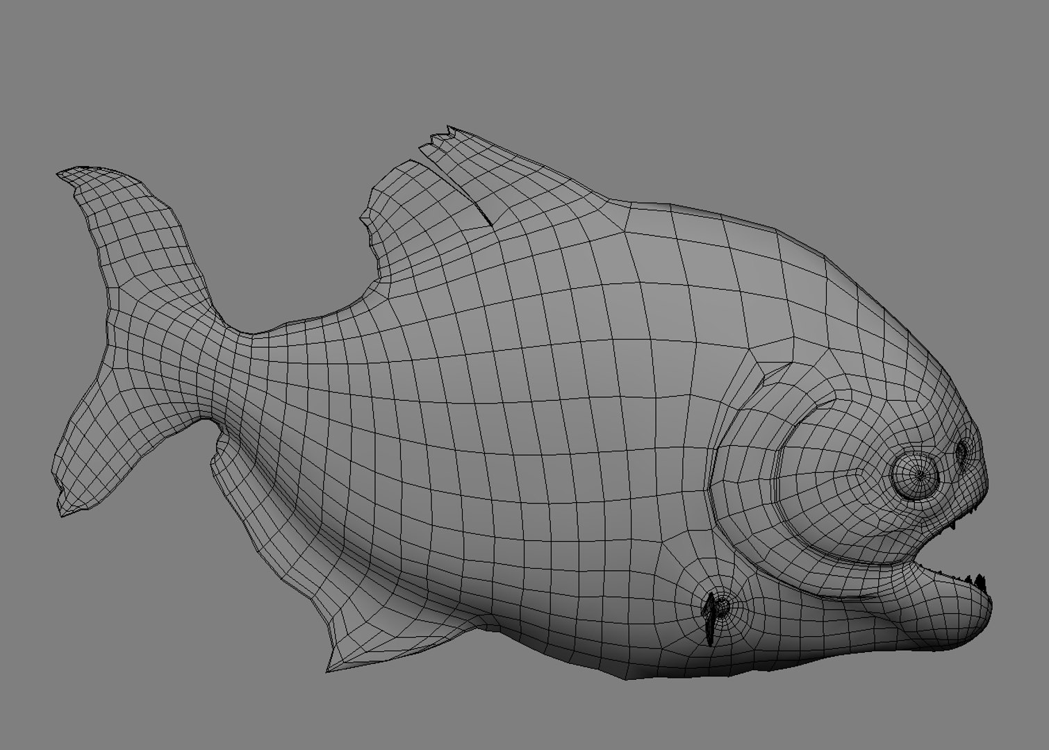 Realistic Piranha 3d Model