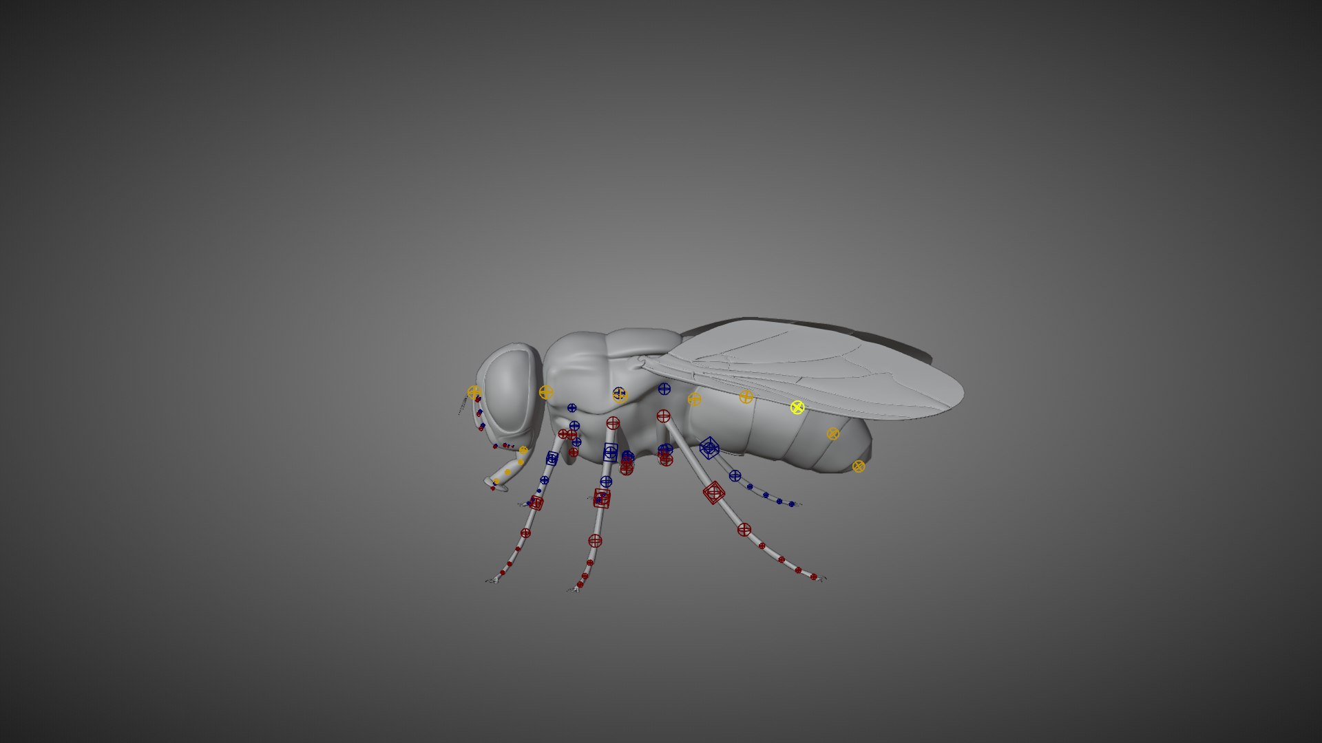 Housefly Animated 3D Model - TurboSquid 2001113