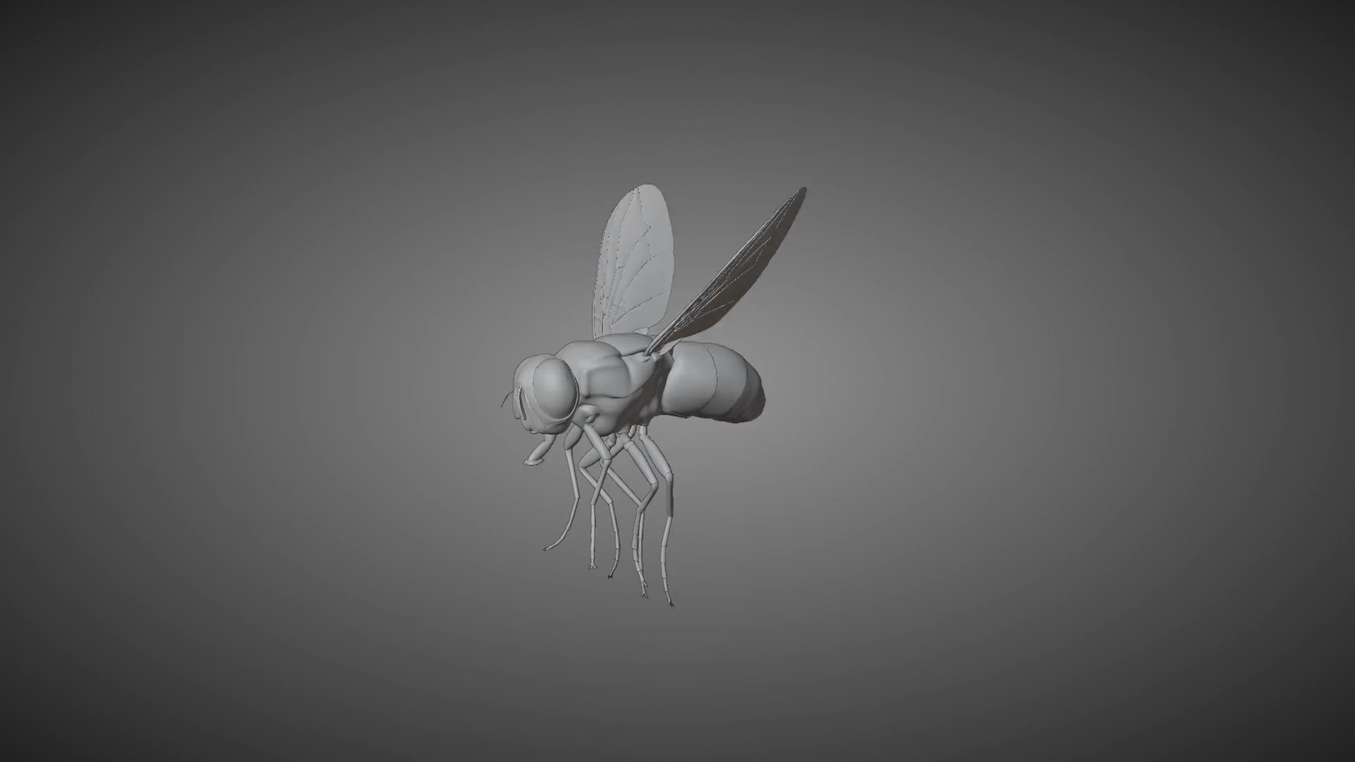 Housefly Animated 3D Model - TurboSquid 2001113