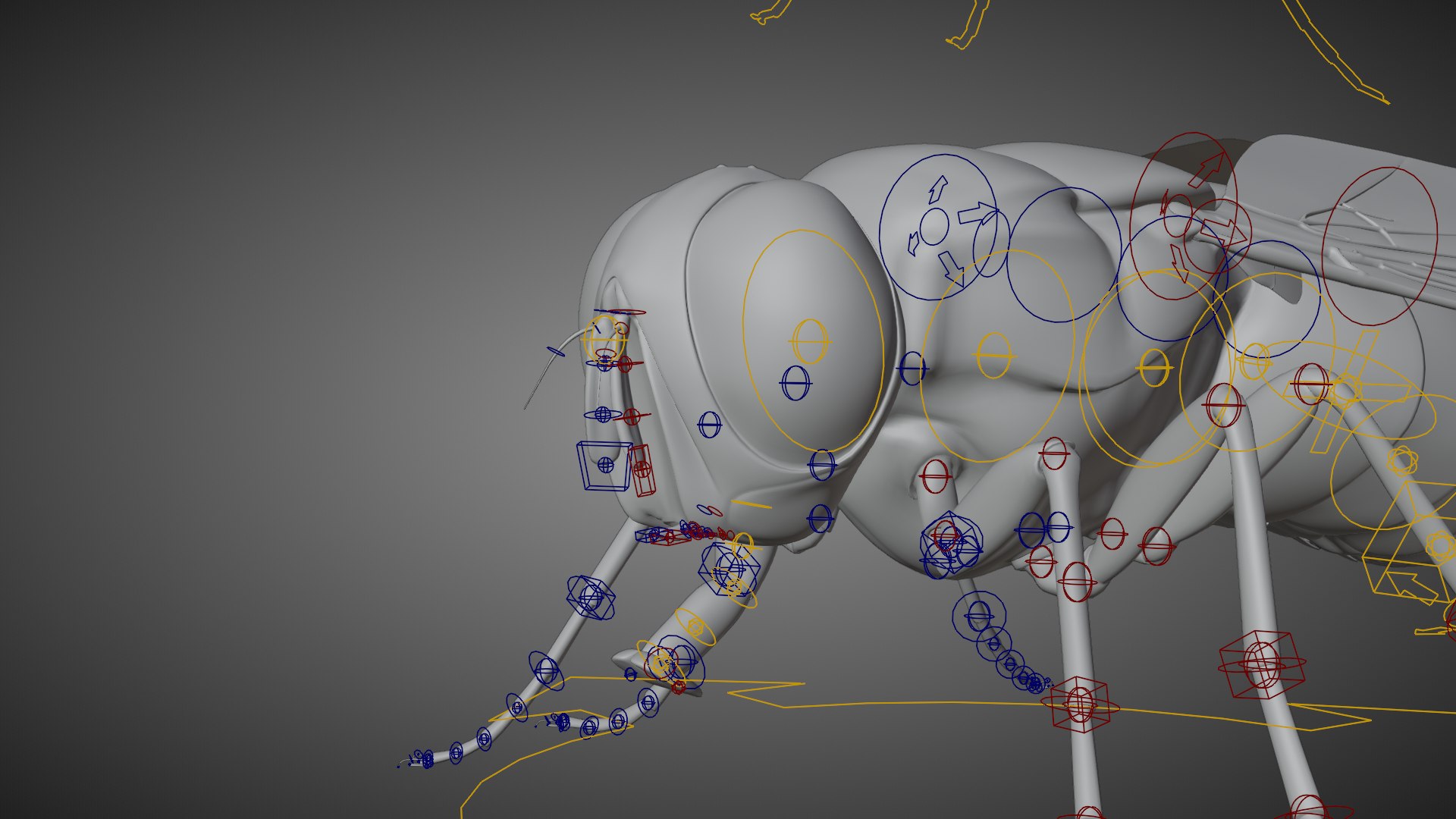 Housefly Animated 3D Model - TurboSquid 2001113