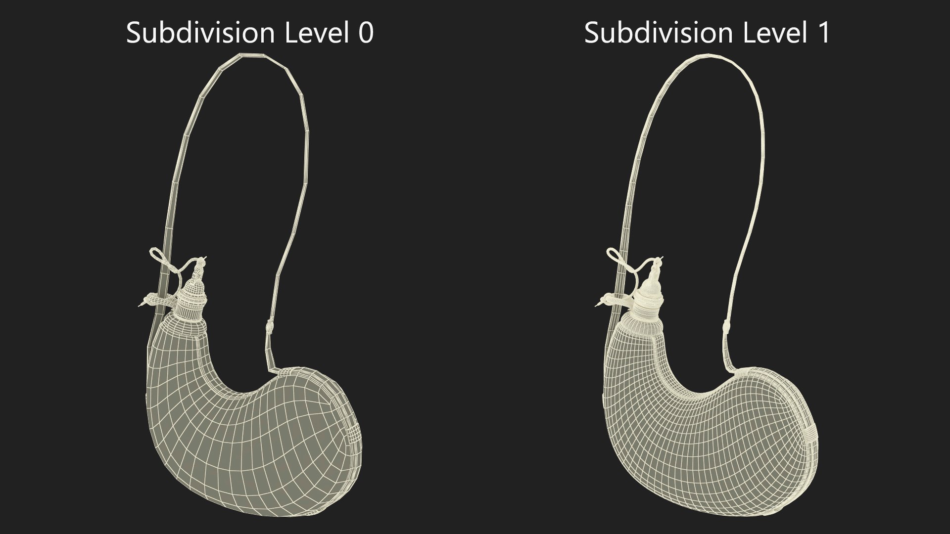 3D Hanging Curved Wineskin Brown - TurboSquid 2193552