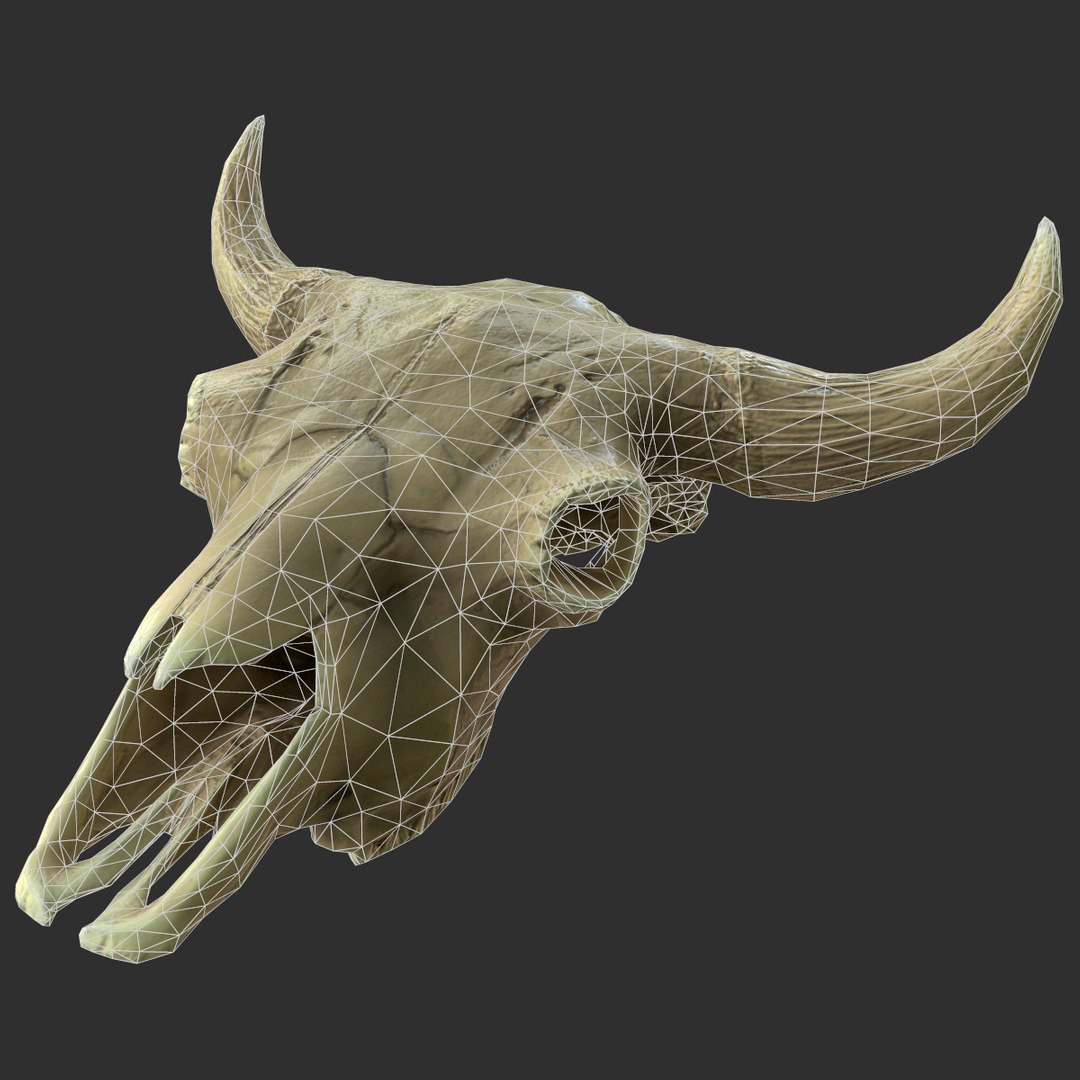 3D Cow Skull - TurboSquid 1384583