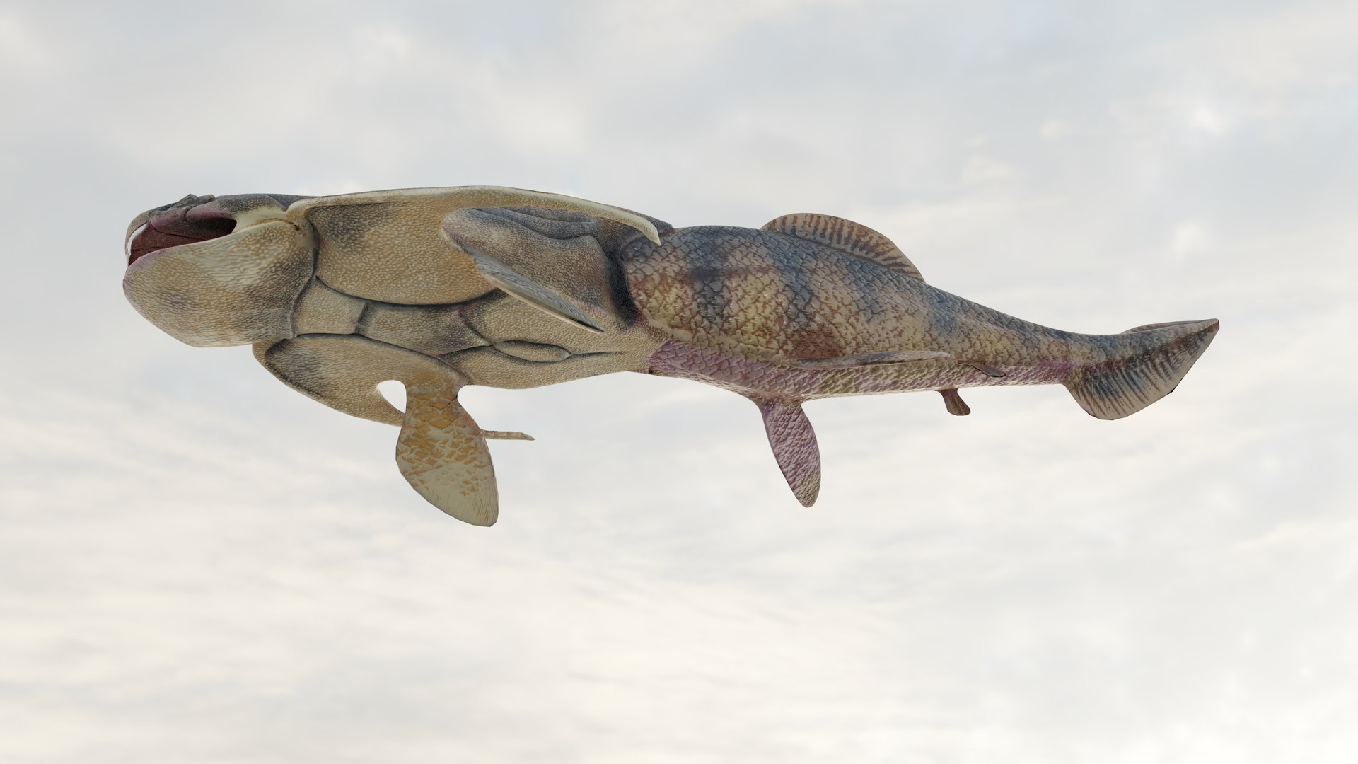 Dicksonosteus Devonian fosil fish 3D model - TurboSquid 2151735
