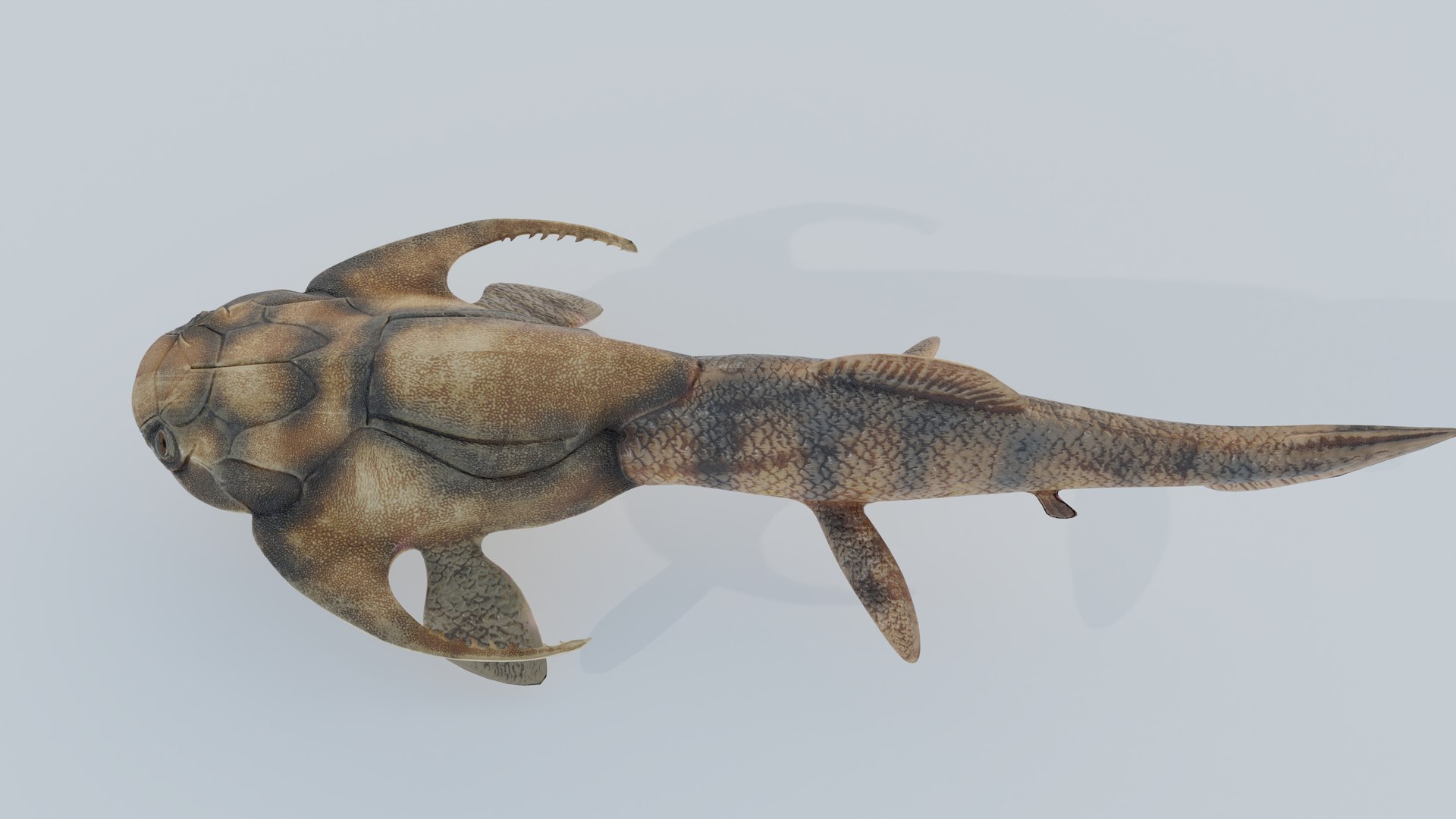 Dicksonosteus Devonian fosil fish 3D model - TurboSquid 2151735
