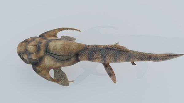modelo 3d Dicksonosteus pez fósil del Devónico - TurboSquid 2151735