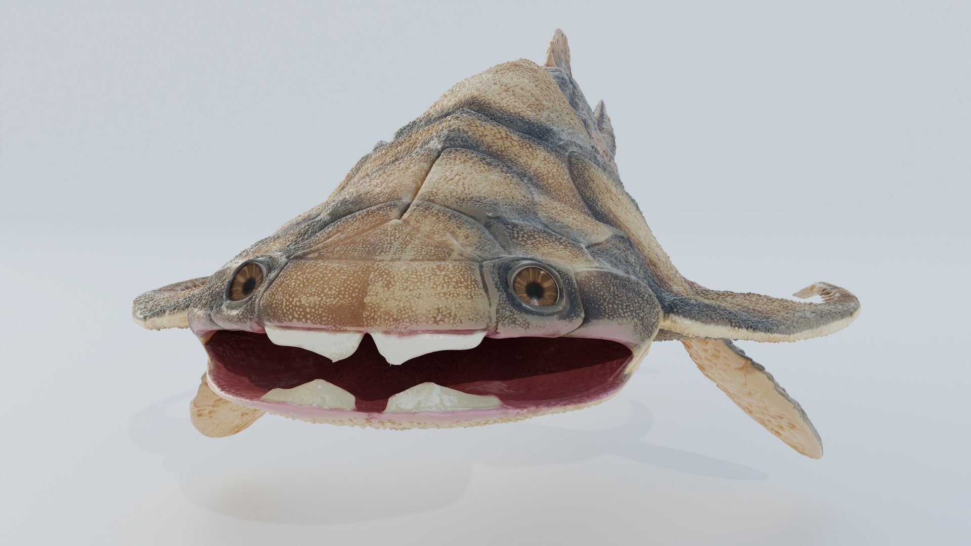 Dicksonosteus Devonian fosil fish 3D model - TurboSquid 2151735