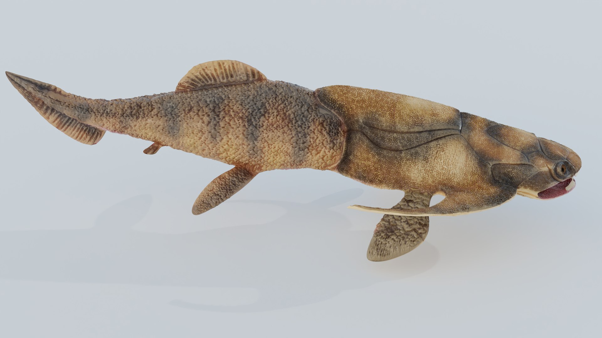 Dicksonosteus Devonian fosil fish 3D model - TurboSquid 2151735