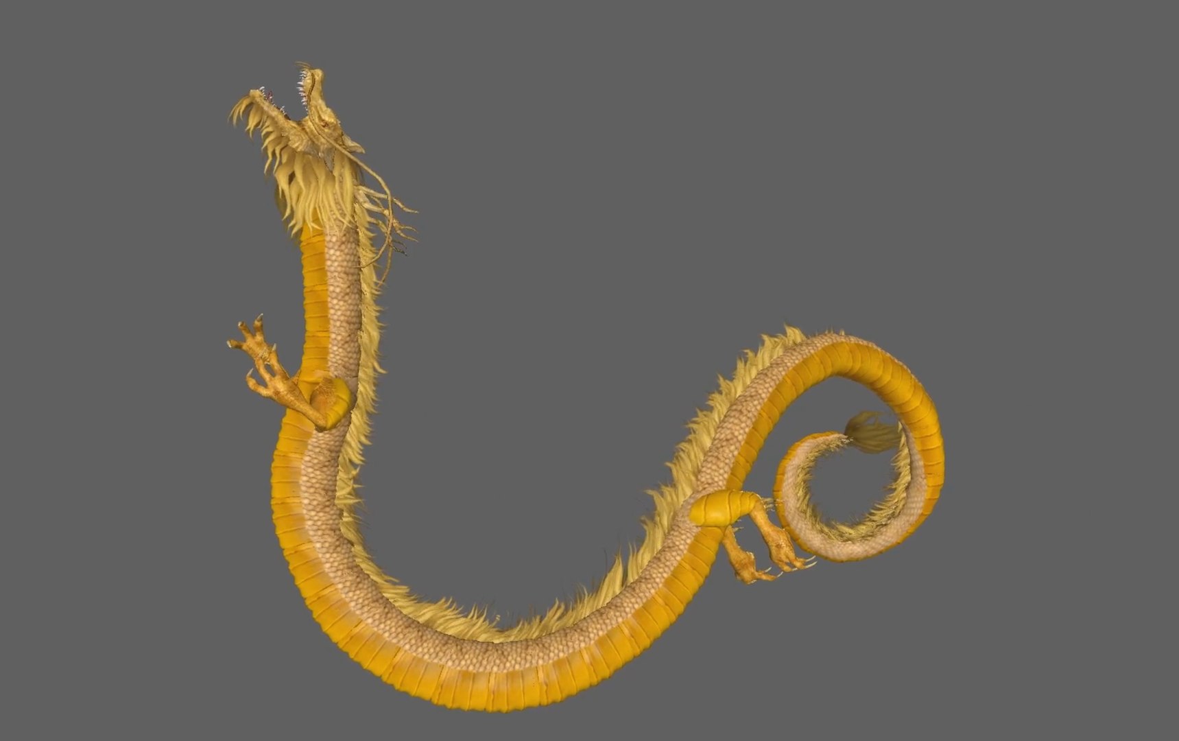 Chinese Dragon Animated Model - TurboSquid 2194114