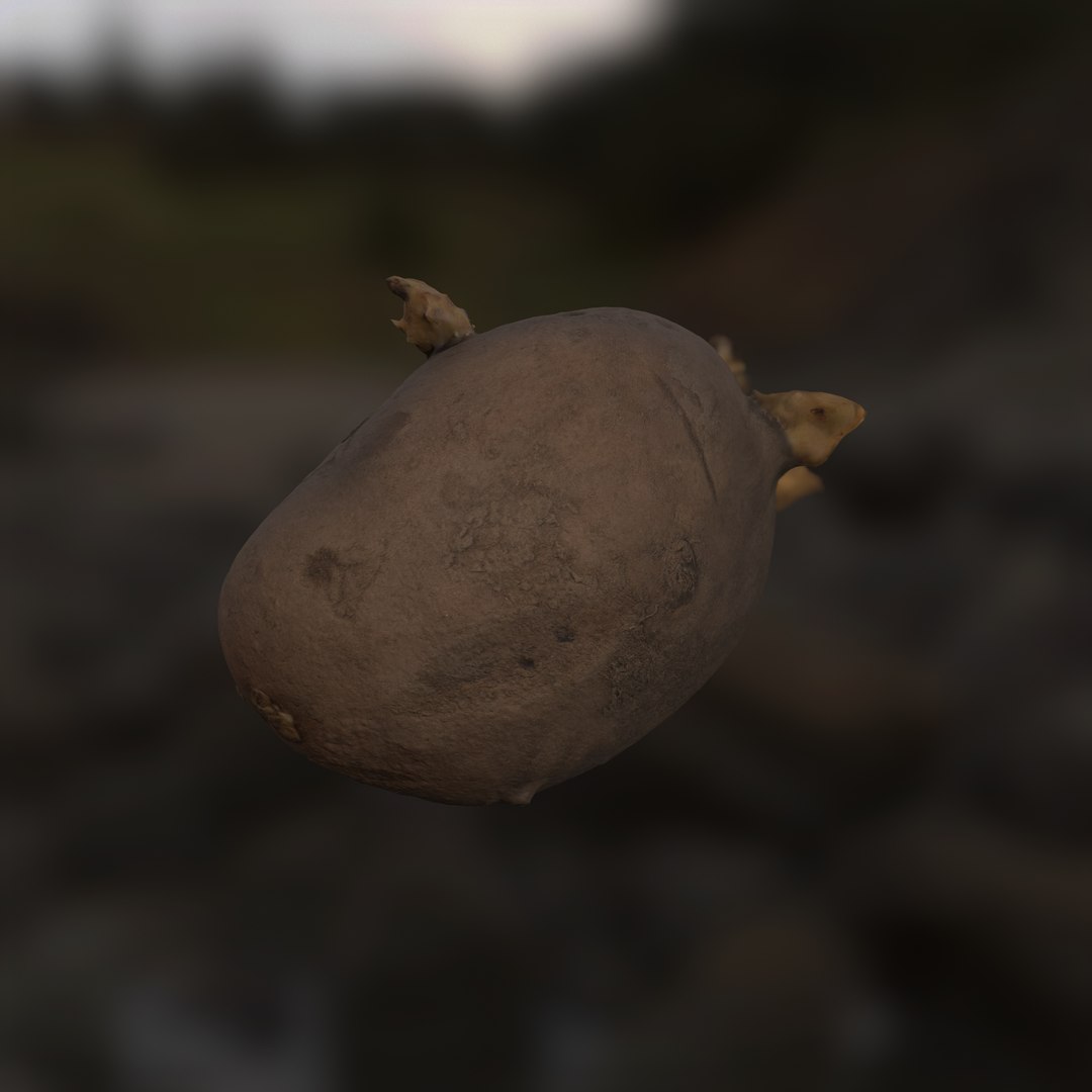 Realistic Potato 3D Model - TurboSquid 1546242