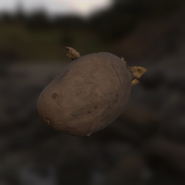 Realistic potato 3D model - TurboSquid 1546242