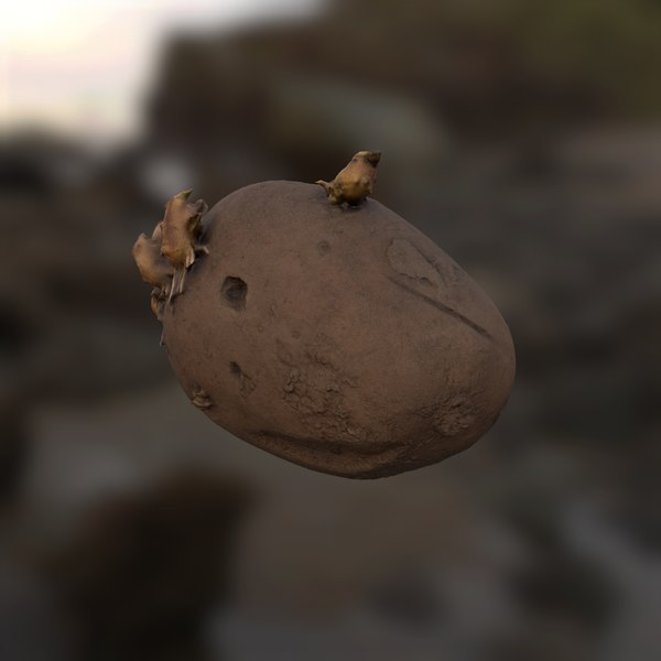 Realistic potato 3D model - TurboSquid 1546242