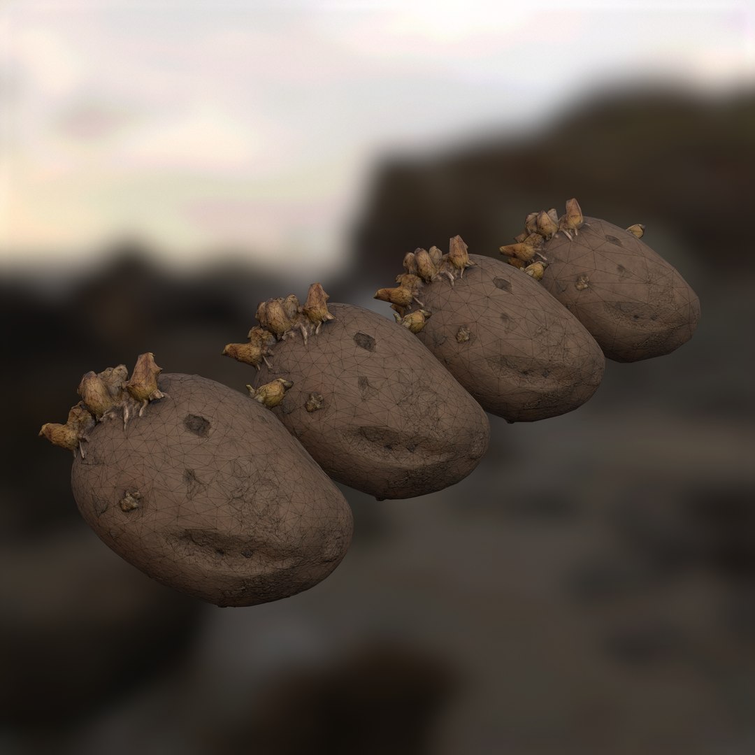 Realistic Potato 3D Model - TurboSquid 1546242