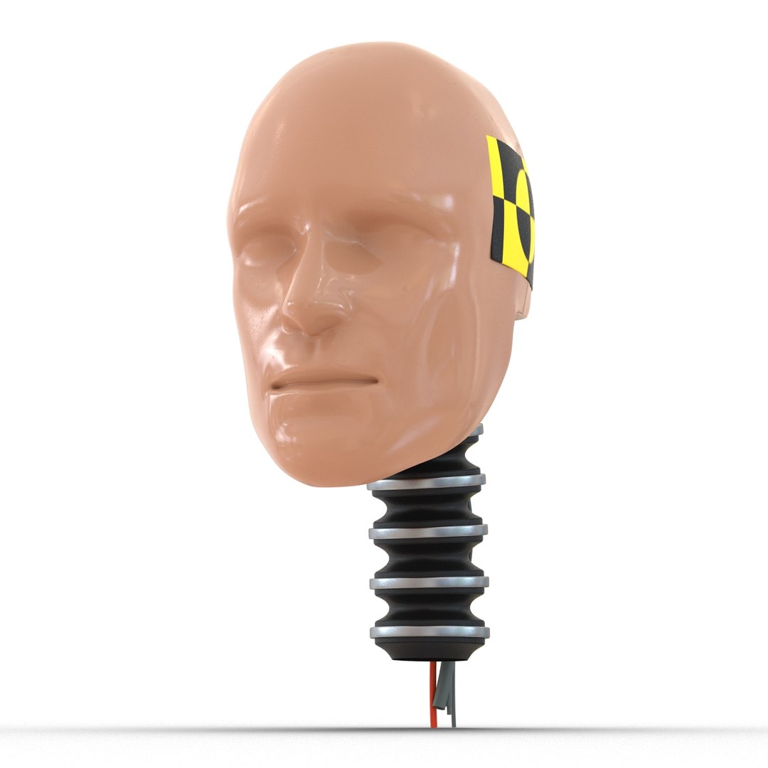 3d Male Crash Test Dummy