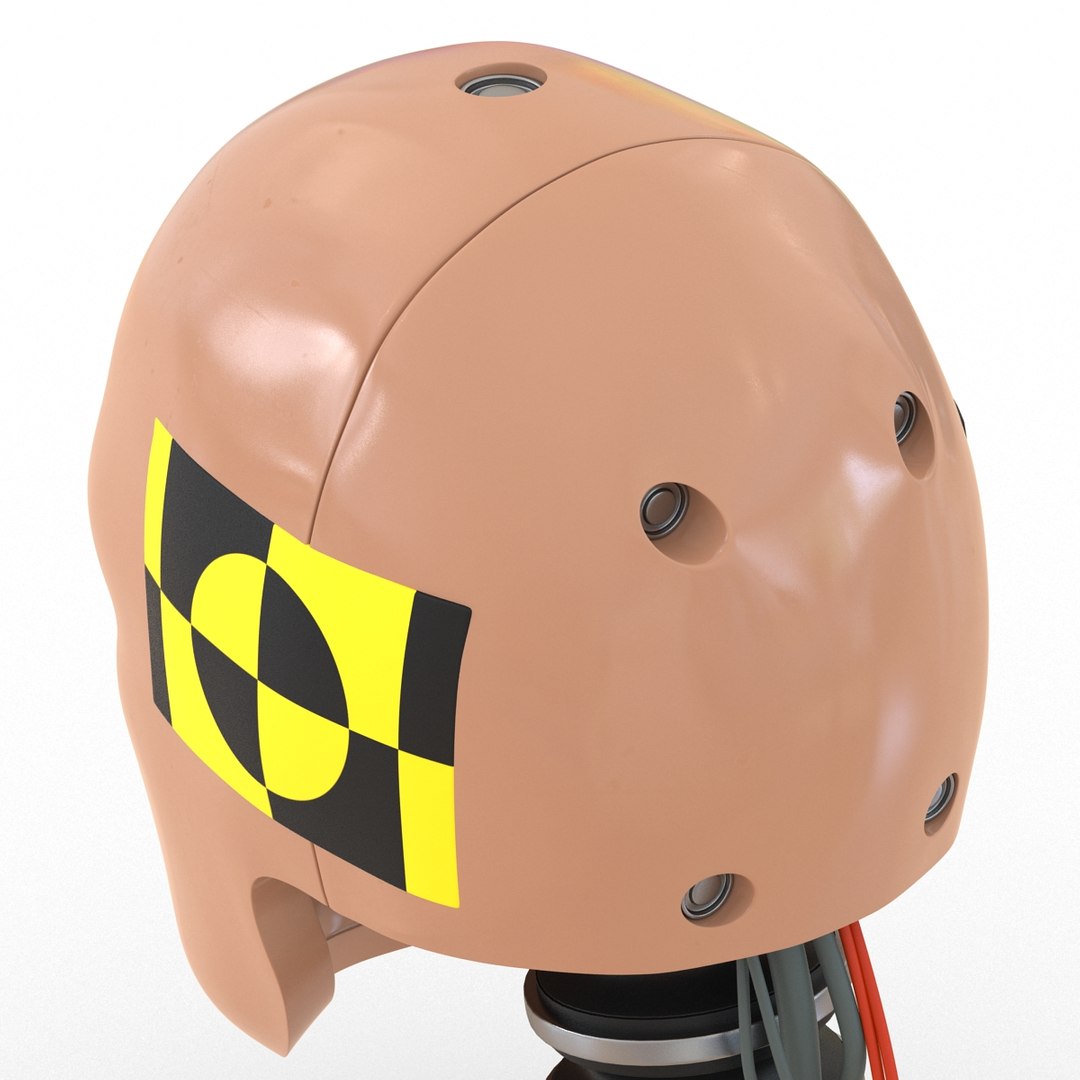 3d male crash test dummy