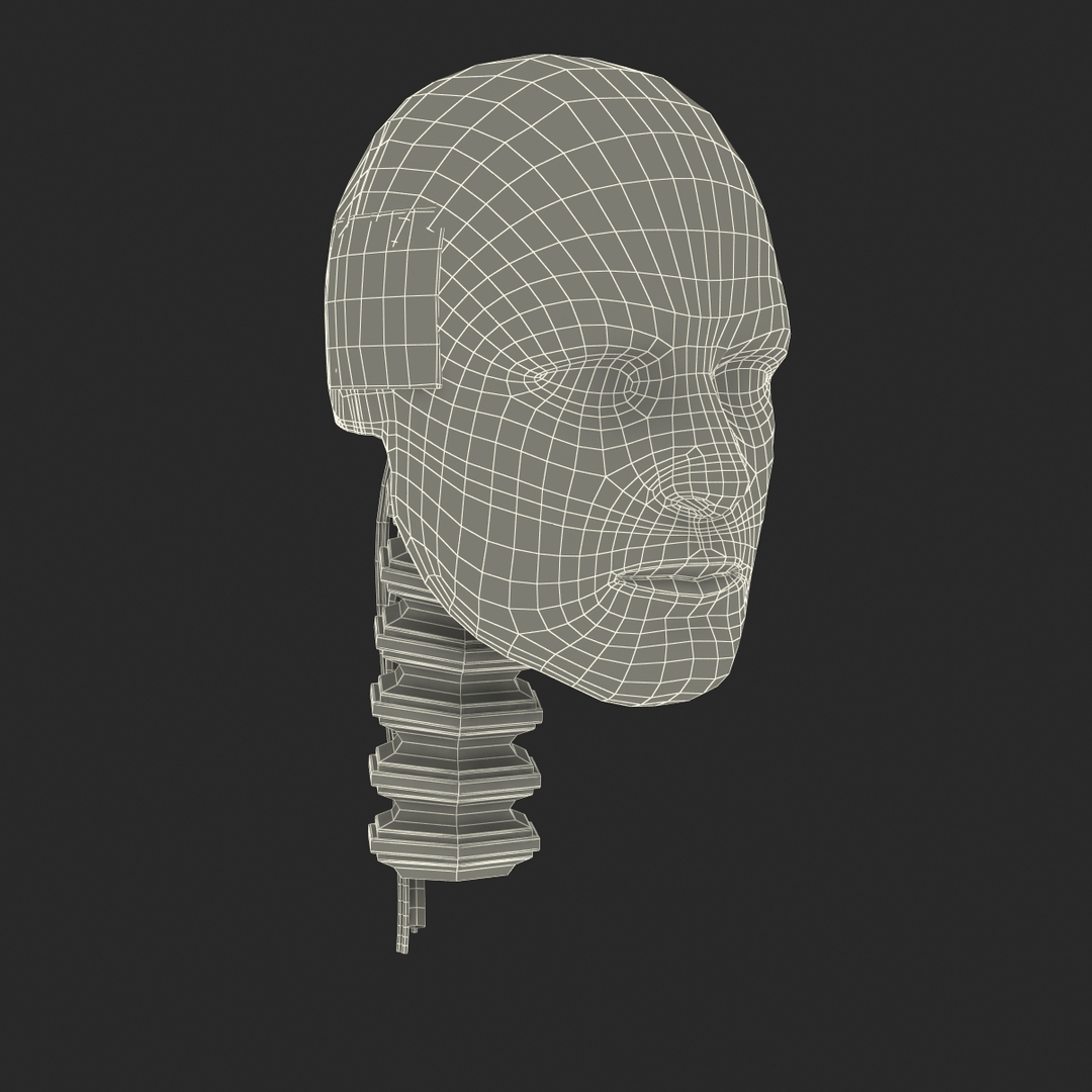 3d Male Crash Test Dummy