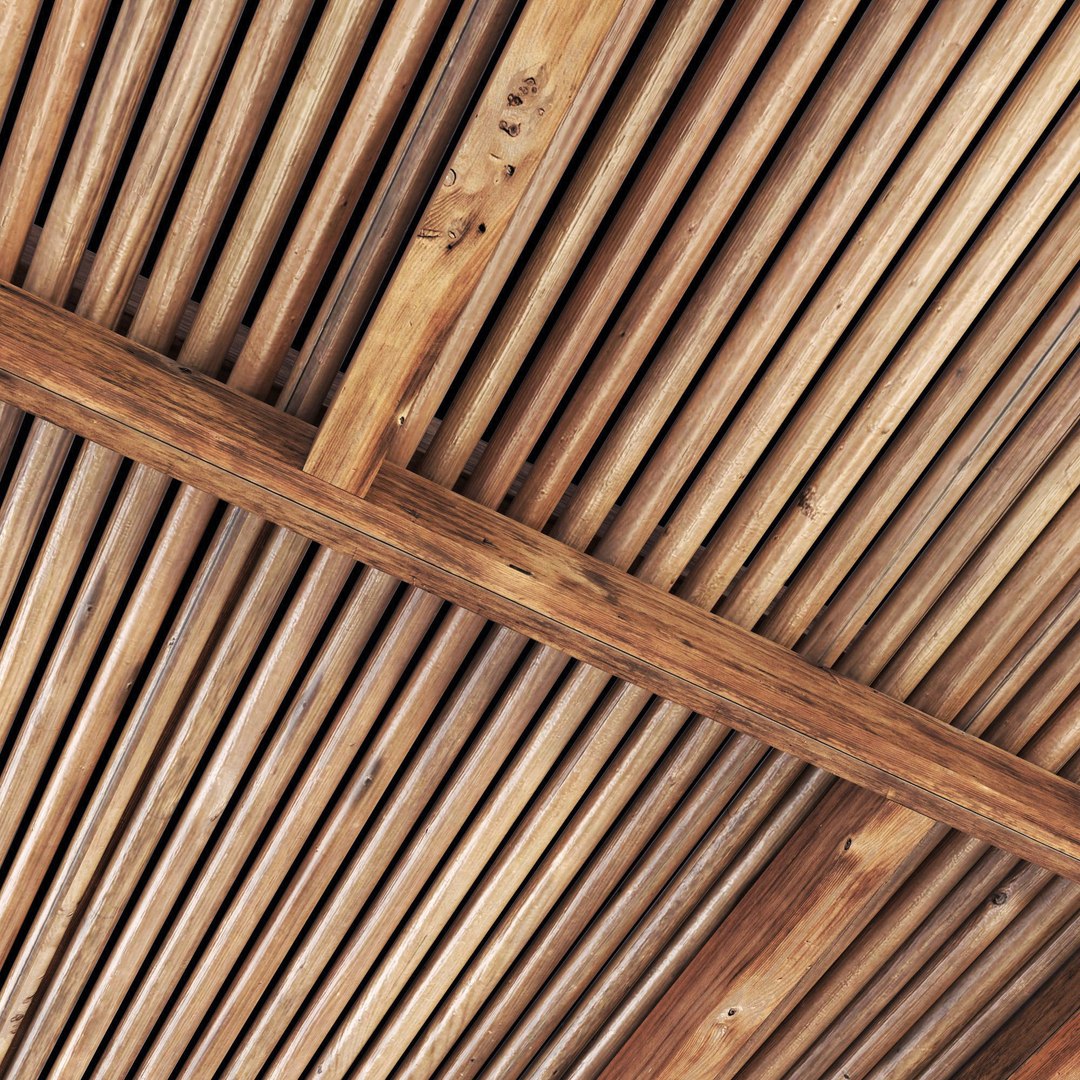 Ceiling Straight Thin Branch N6 Model - TurboSquid 1949939