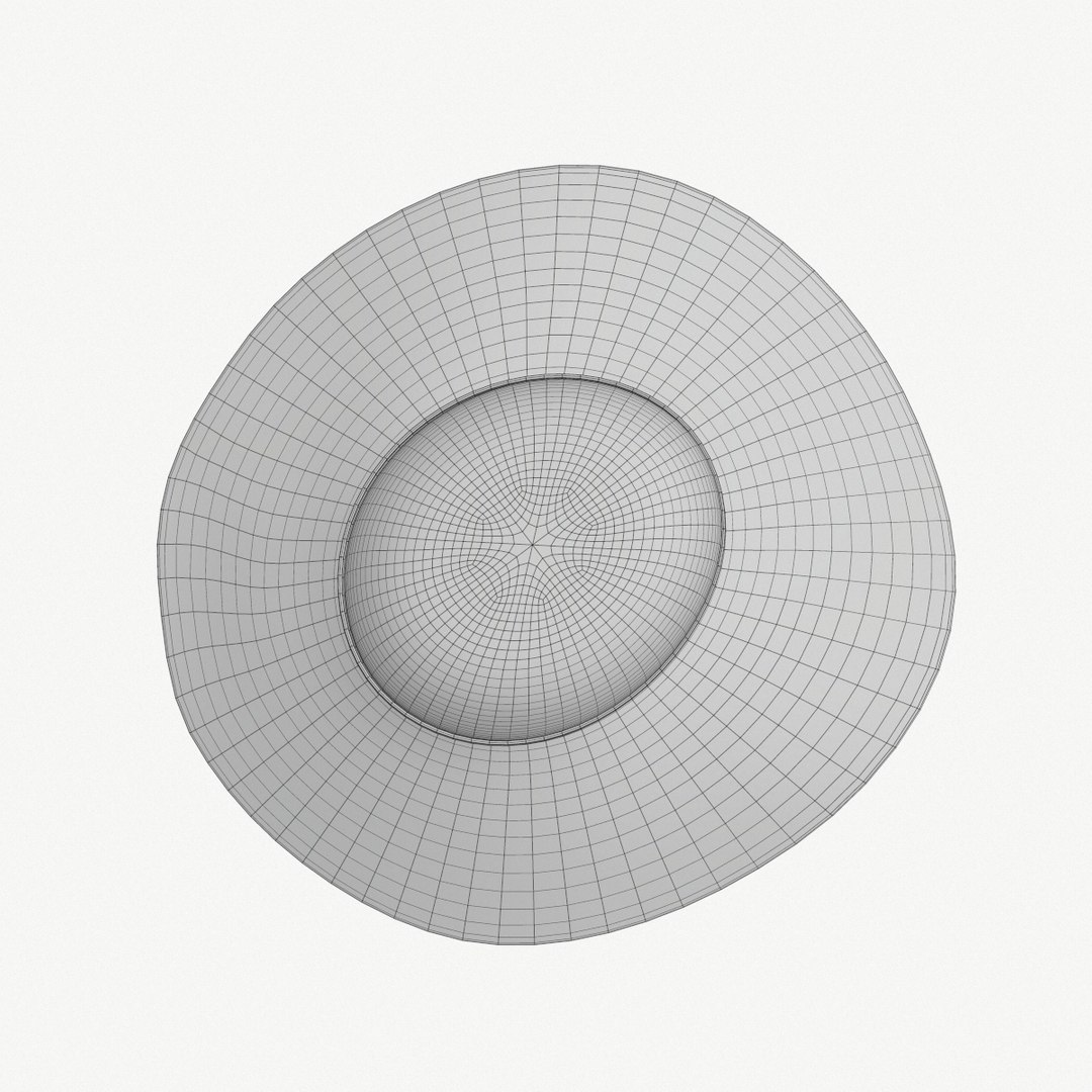 3D Sun Hat Model - TurboSquid 1543193