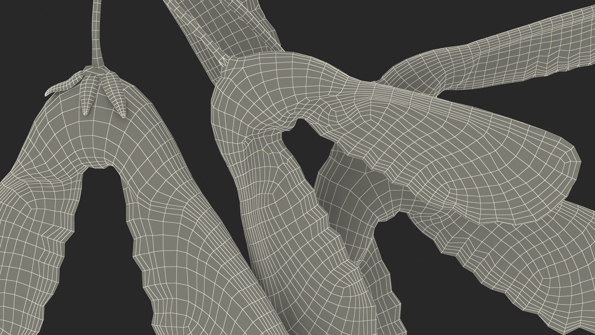 Pink Maple Seeds Branch 3D Model - TurboSquid 1838627