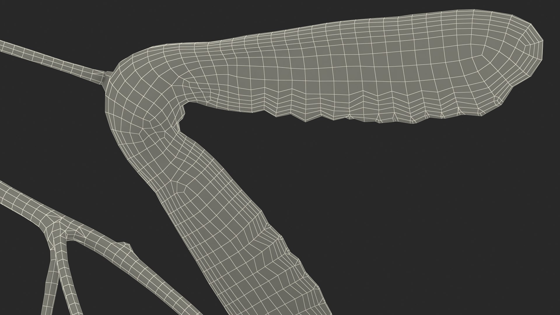 Pink Maple Seeds Branch 3D Model - TurboSquid 1838627