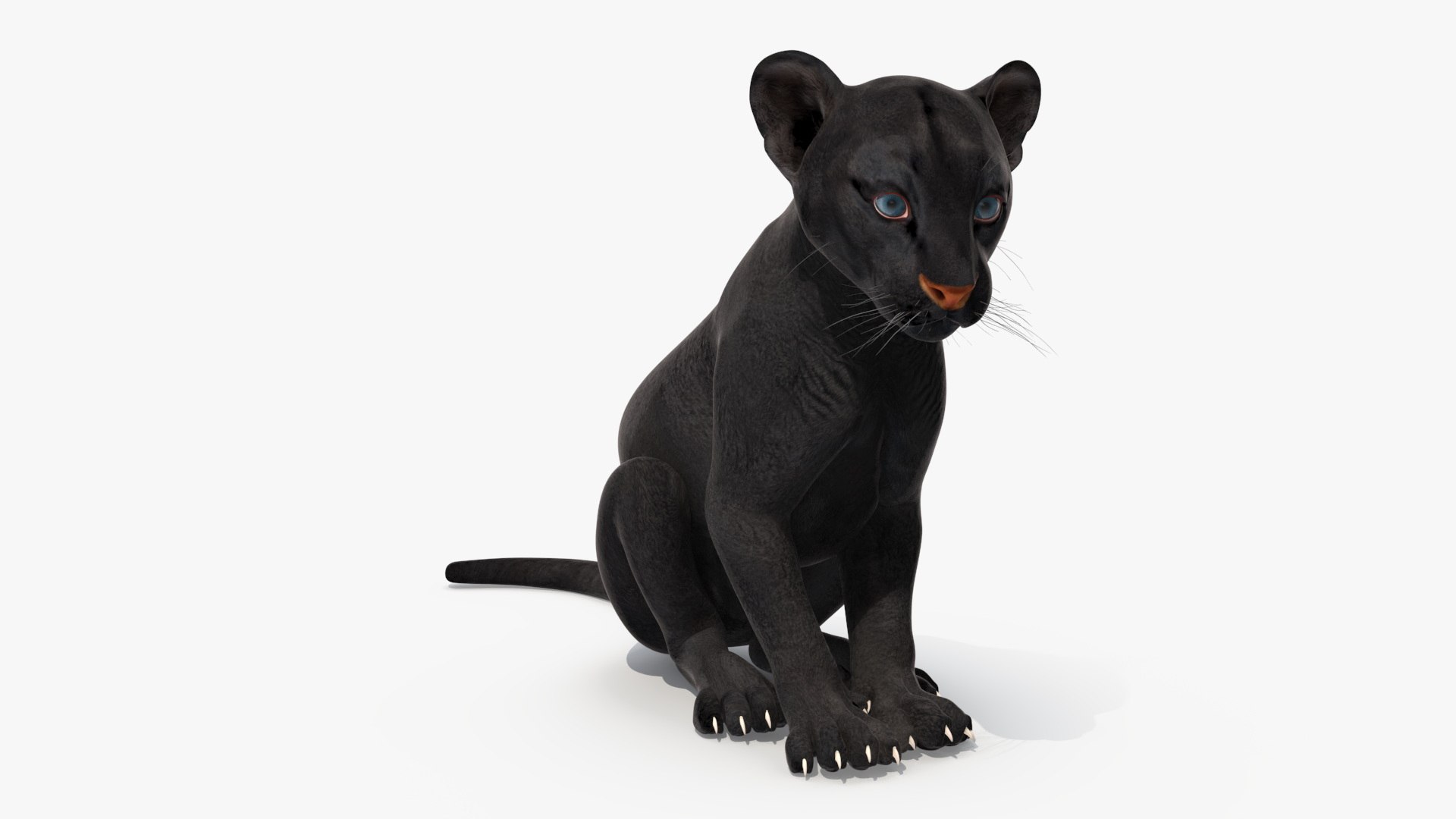 3D Black Panther Cub Rigged For Maya Model - TurboSquid 2381754