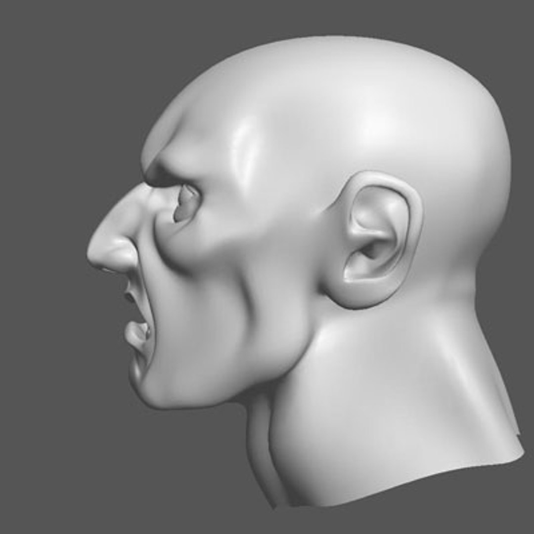 3d Angry Male Head Model
