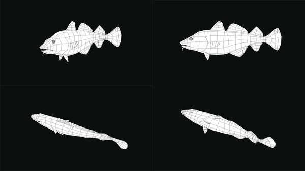 3D model fish - ready pack 1 - TurboSquid 1300783