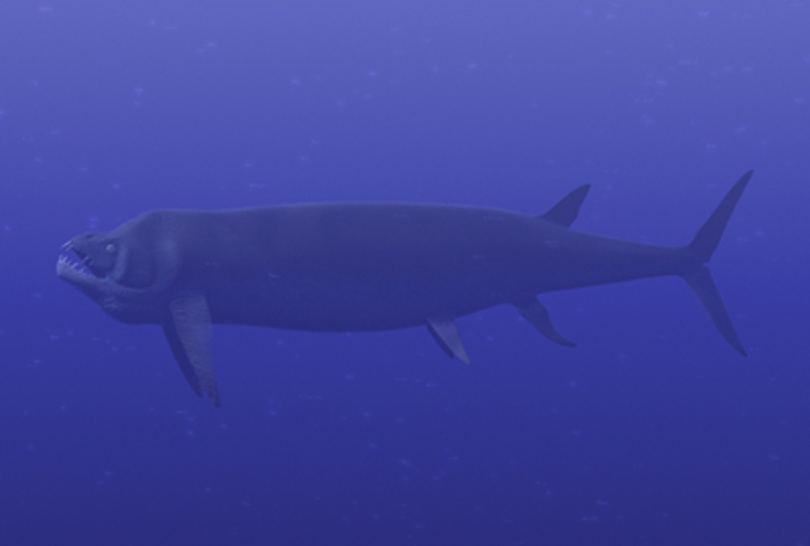 Xiphactinus 3d Model
