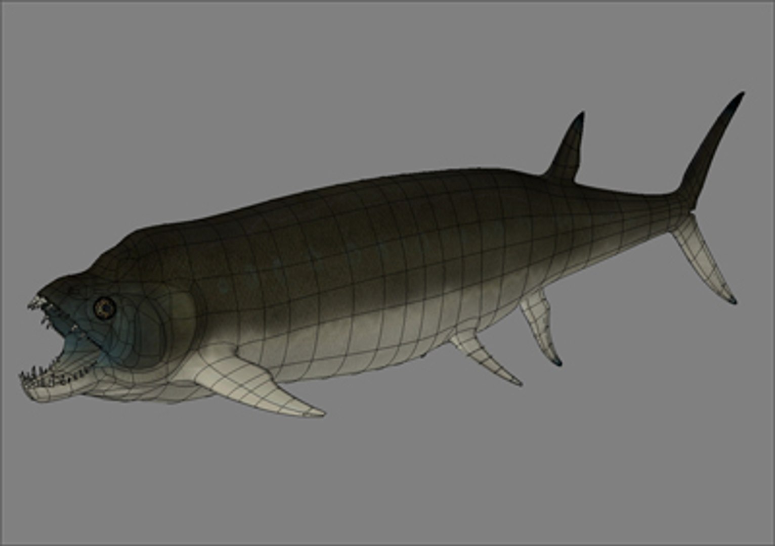 xiphactinus audax fish 3d model