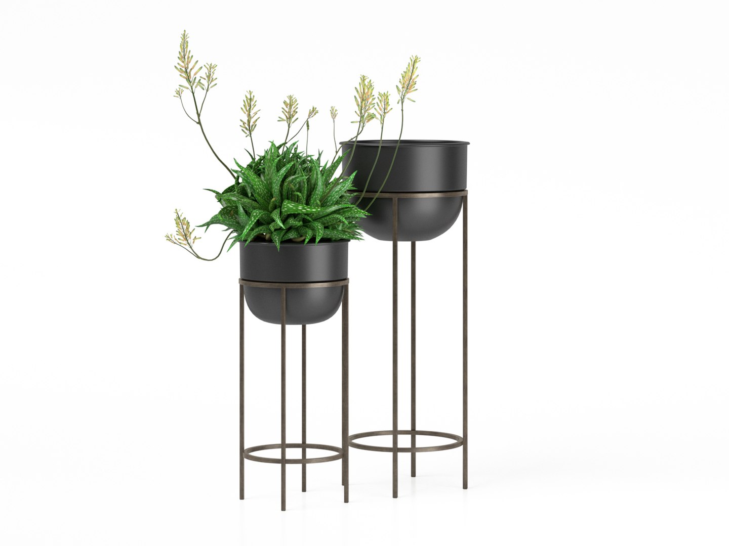 Wesley Metal Plant Stands 3D Model - TurboSquid 2161470