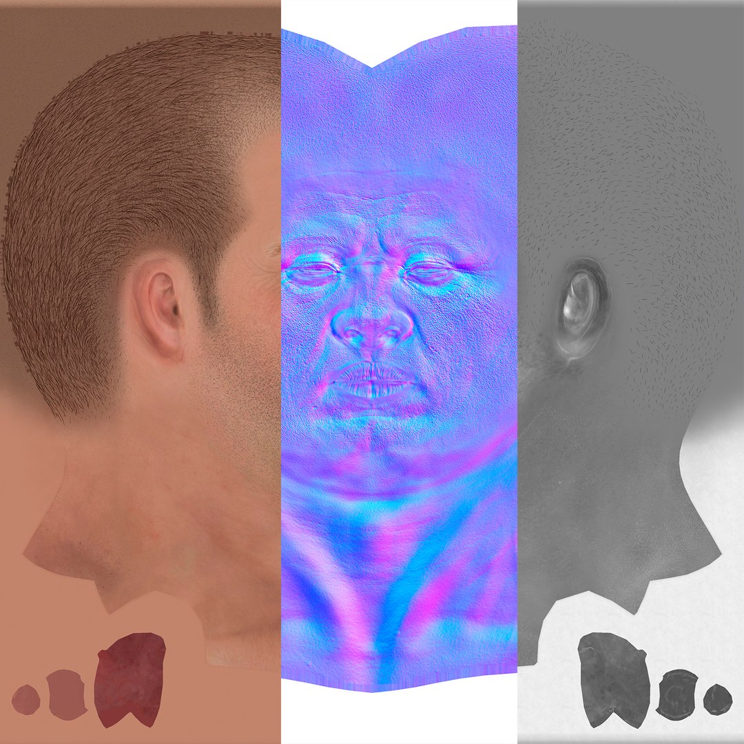 Jason Realistic model of male head 3D model - TurboSquid 1789575