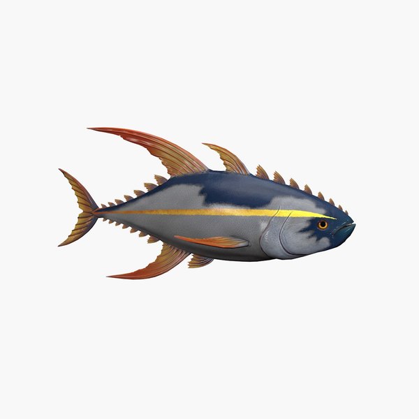 3D Tuna - TurboSquid 1841828