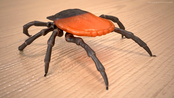 Tick model - TurboSquid 1853337