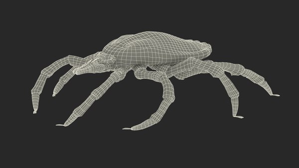 Tick model - TurboSquid 1853337