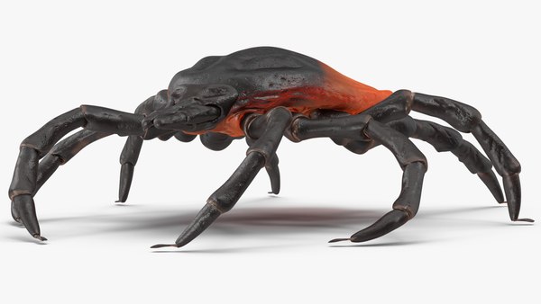 Tick model - TurboSquid 1853337