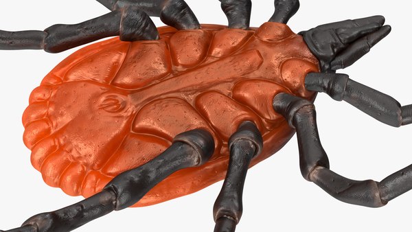 Tick model - TurboSquid 1853337