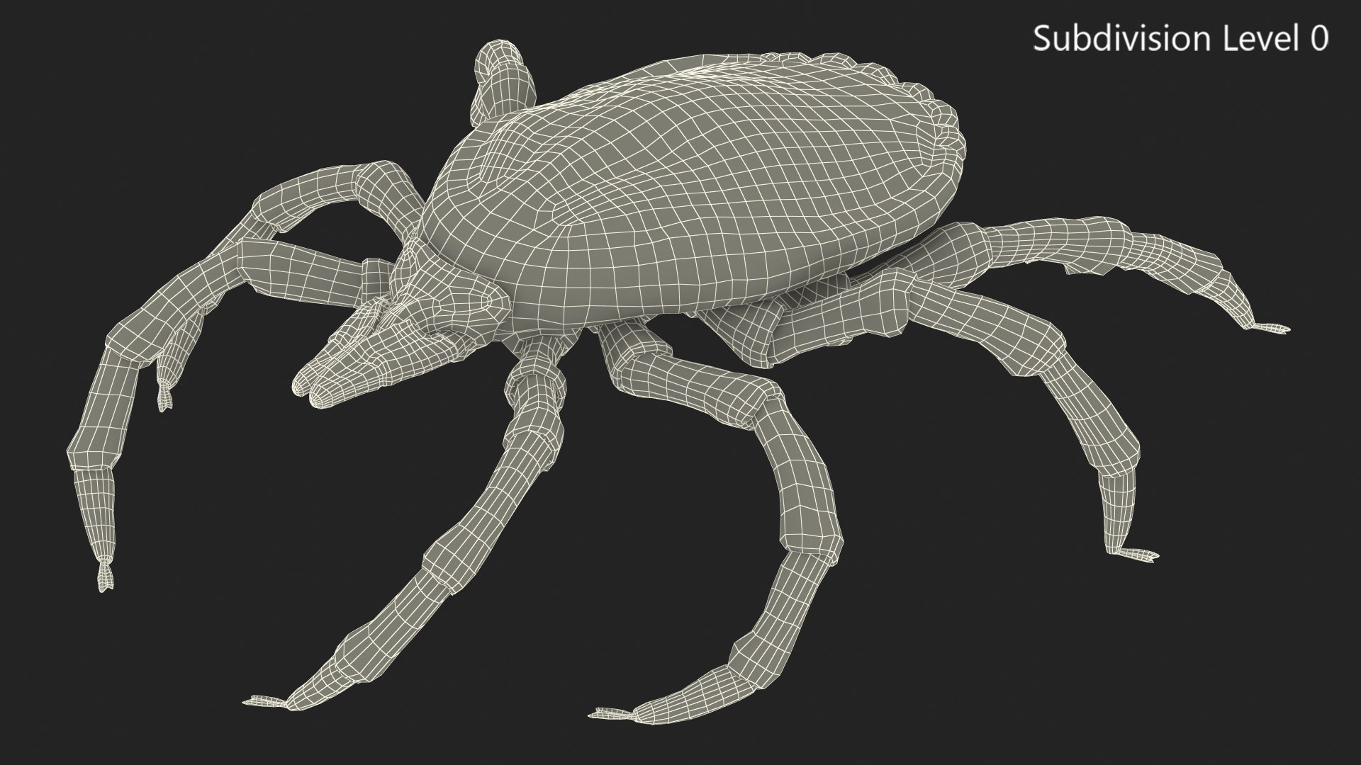Tick model - TurboSquid 1853337